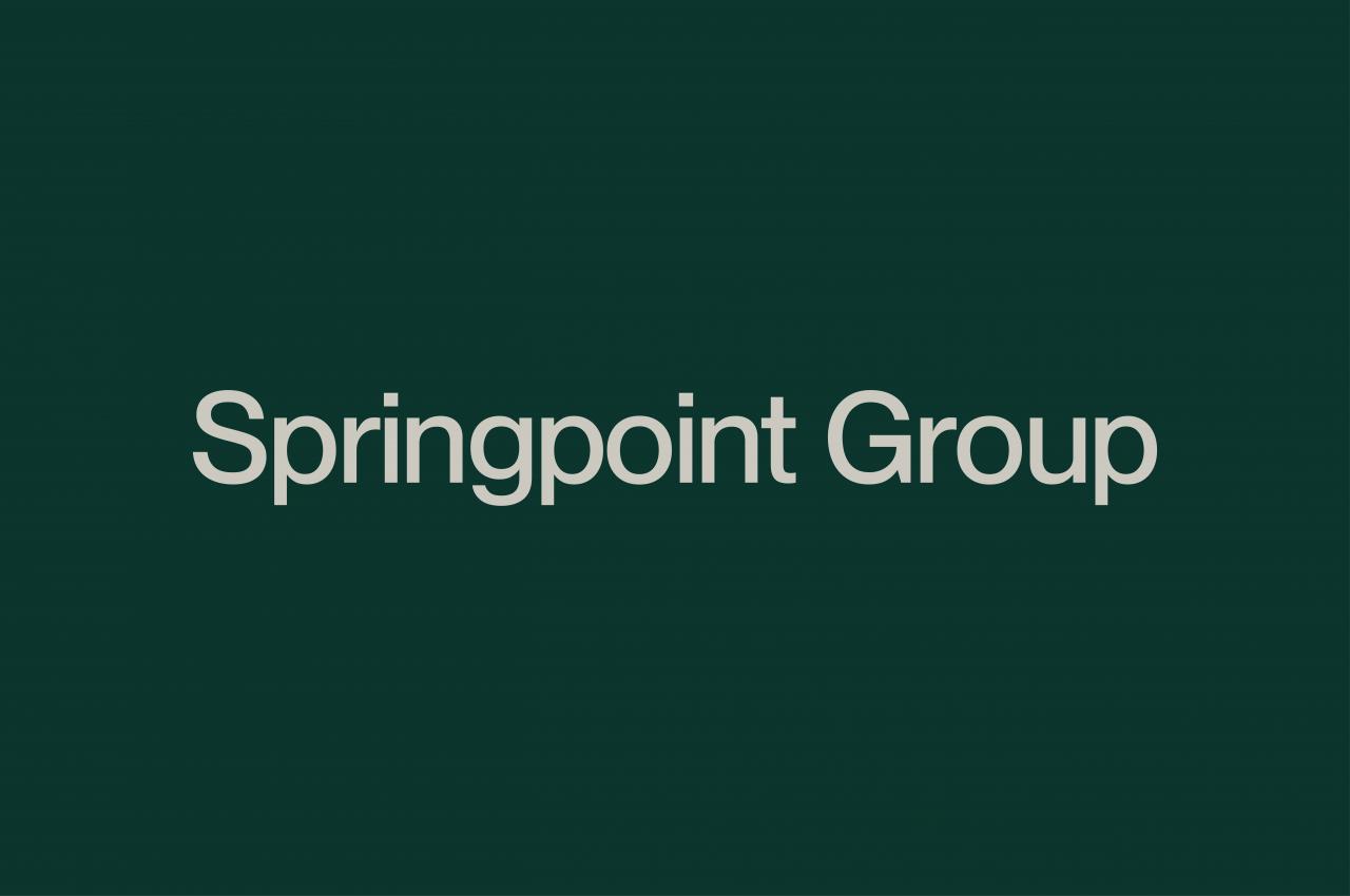 Springpoint Group - Mast
