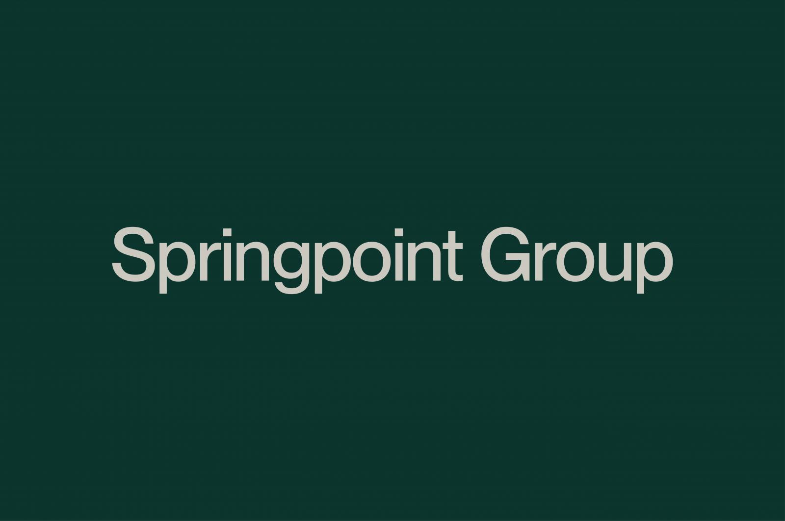 Springpoint Group - Mast