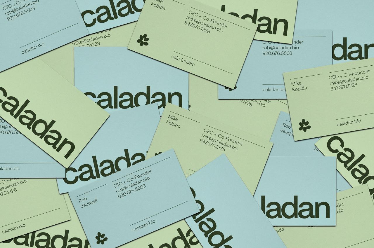 Caladan - Mast