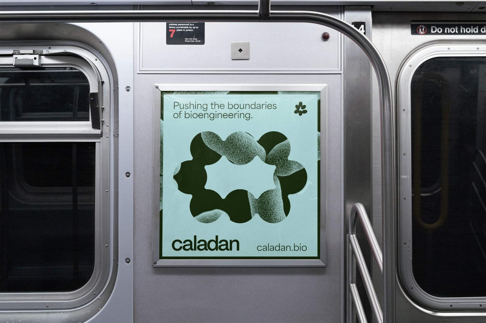 Caladan - Mast